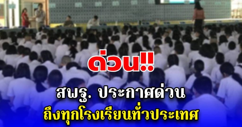 สพฐ. ประกาศด่วน ถึงทุกโรงเรียนทั่วประเทศ – XNEWS5